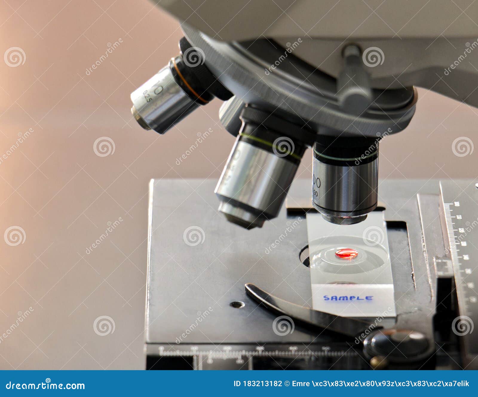 Examining of Test Sample Under the Microscope. Stock Photo - Image of ...