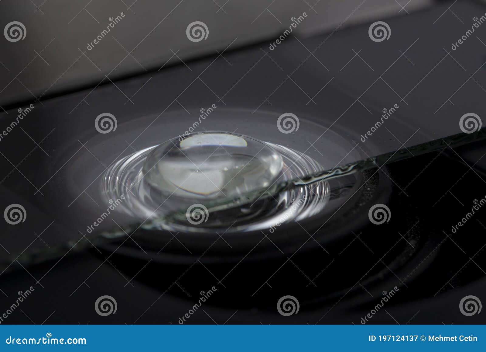 Examining of Test Sample Under the Microscope in Laboratory. Optical ...