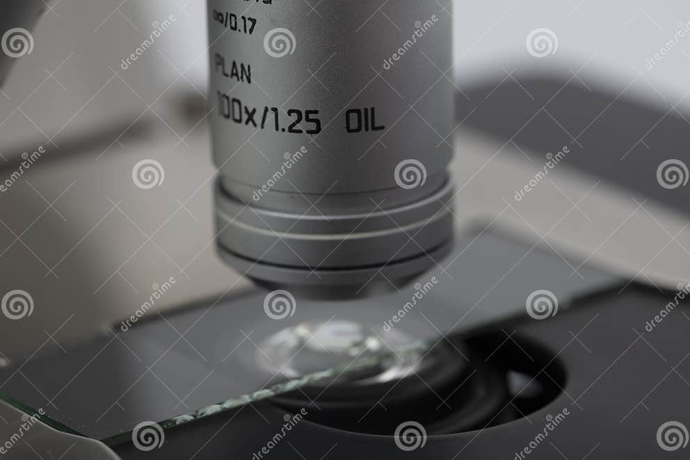 Examining of Test Sample Under the Microscope in Laboratory. Optical ...