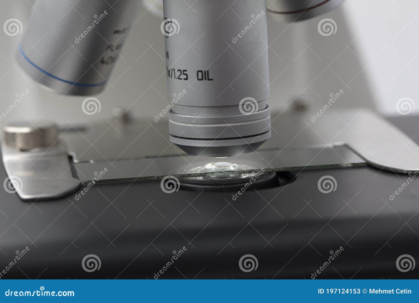 Examining of Test Sample Under the Microscope in Laboratory. Optical ...