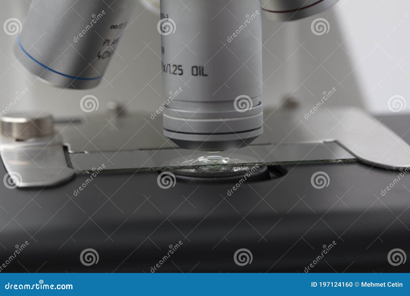 Examining of Test Sample Under the Microscope in Laboratory. Optical ...