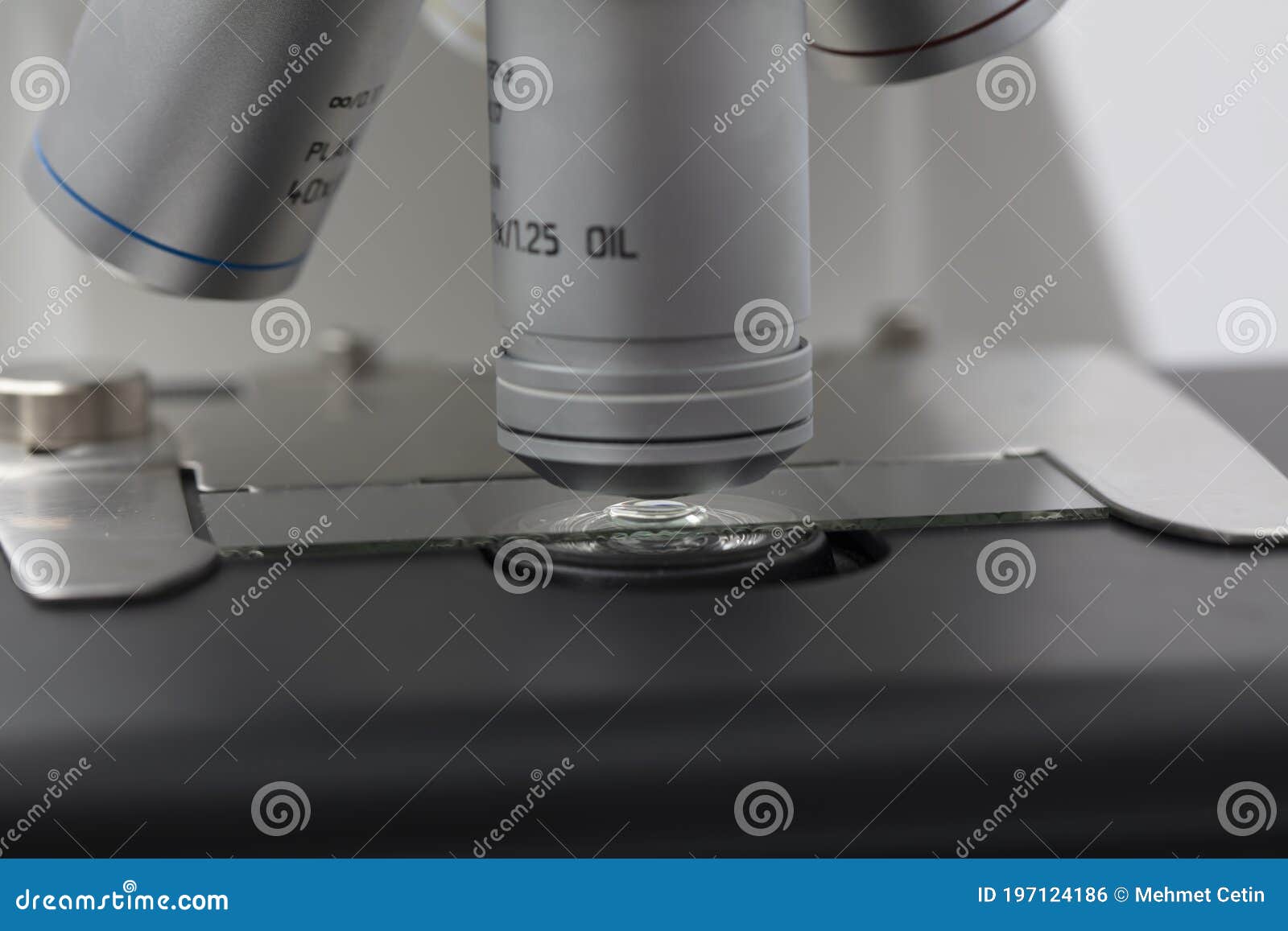 Examining of Test Sample Under the Microscope in Laboratory. Optical ...