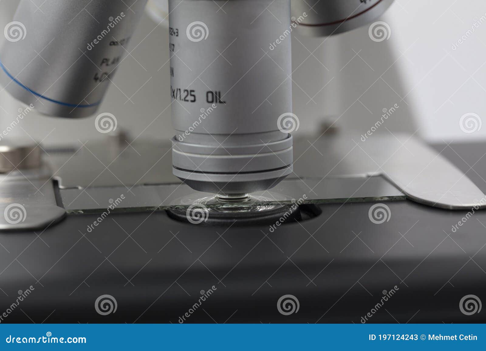 Examining of Test Sample Under the Microscope in Laboratory. Optical ...