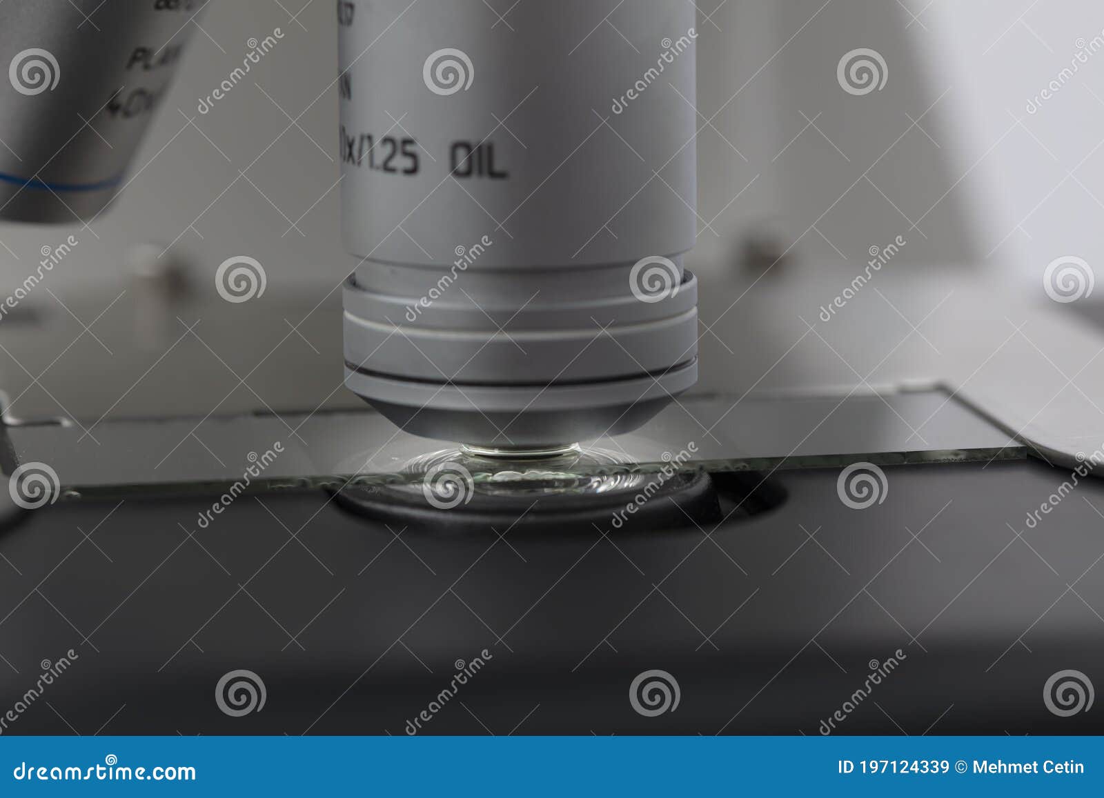 Examining of Test Sample Under the Microscope in Laboratory. Optical ...