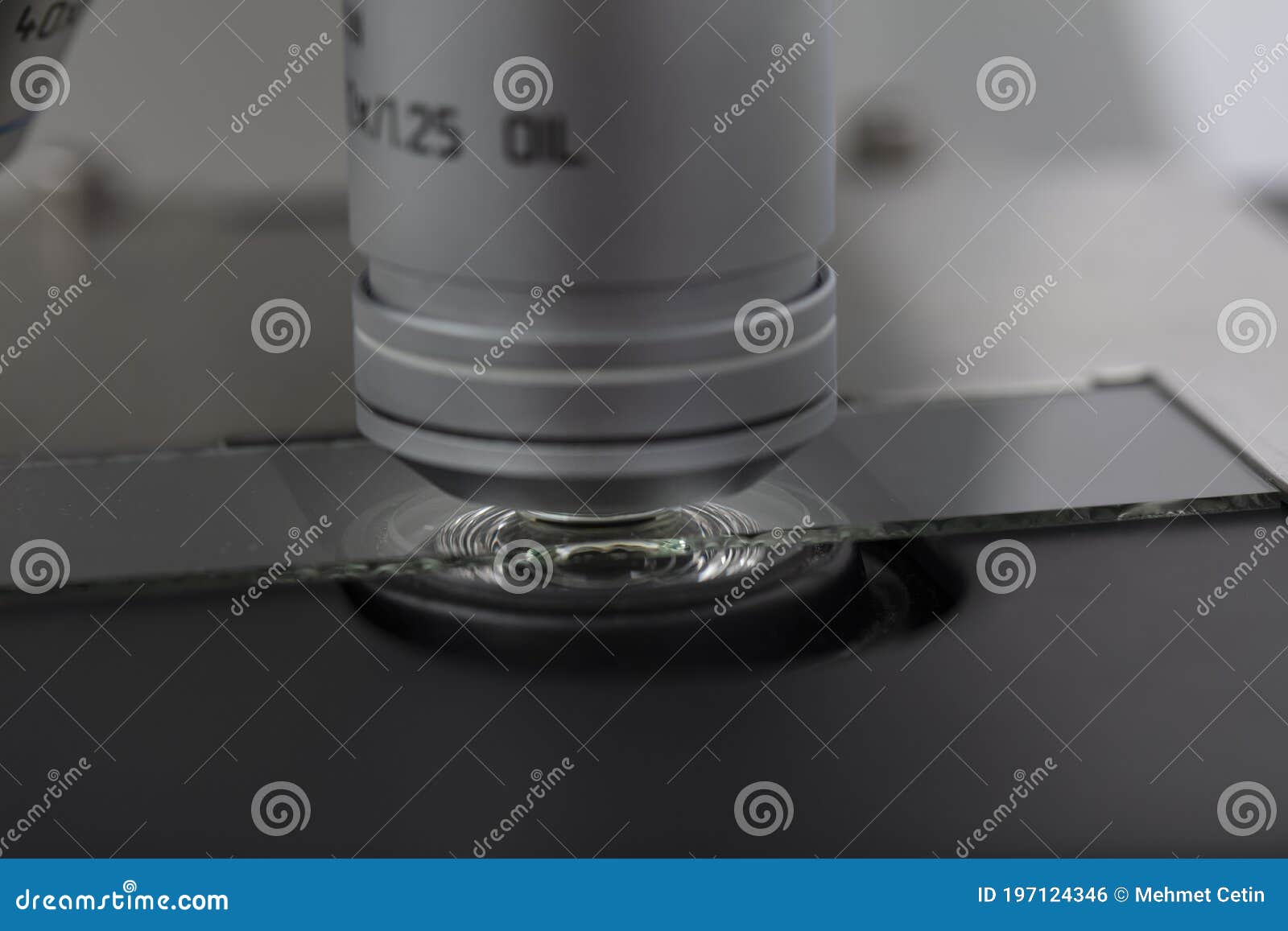 Examining of Test Sample Under the Microscope in Laboratory. Optical ...