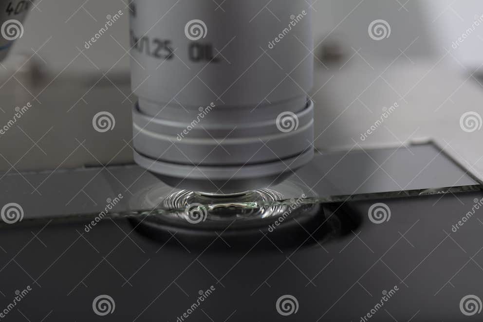 Examining of Test Sample Under the Microscope in Laboratory. Optical ...