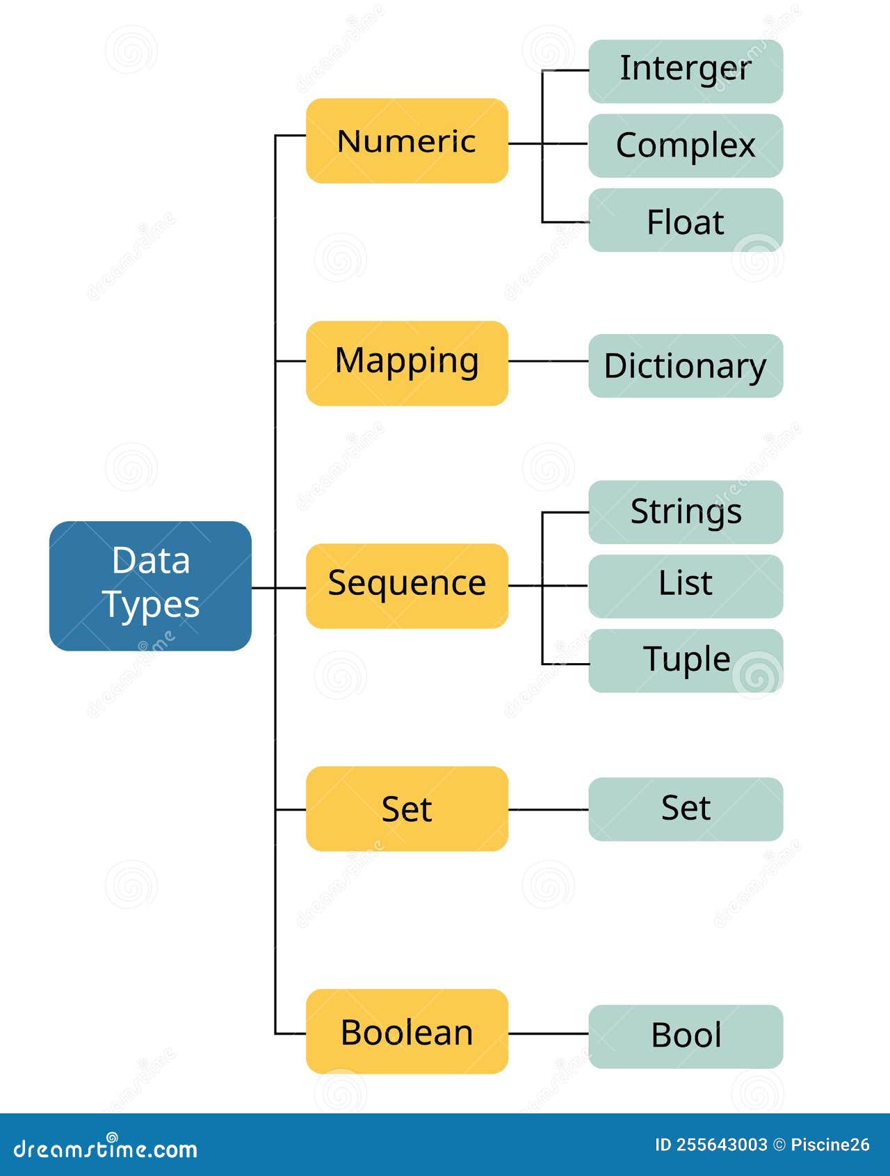Example of Data Types with the Graph Stock Vector - Illustration of ...