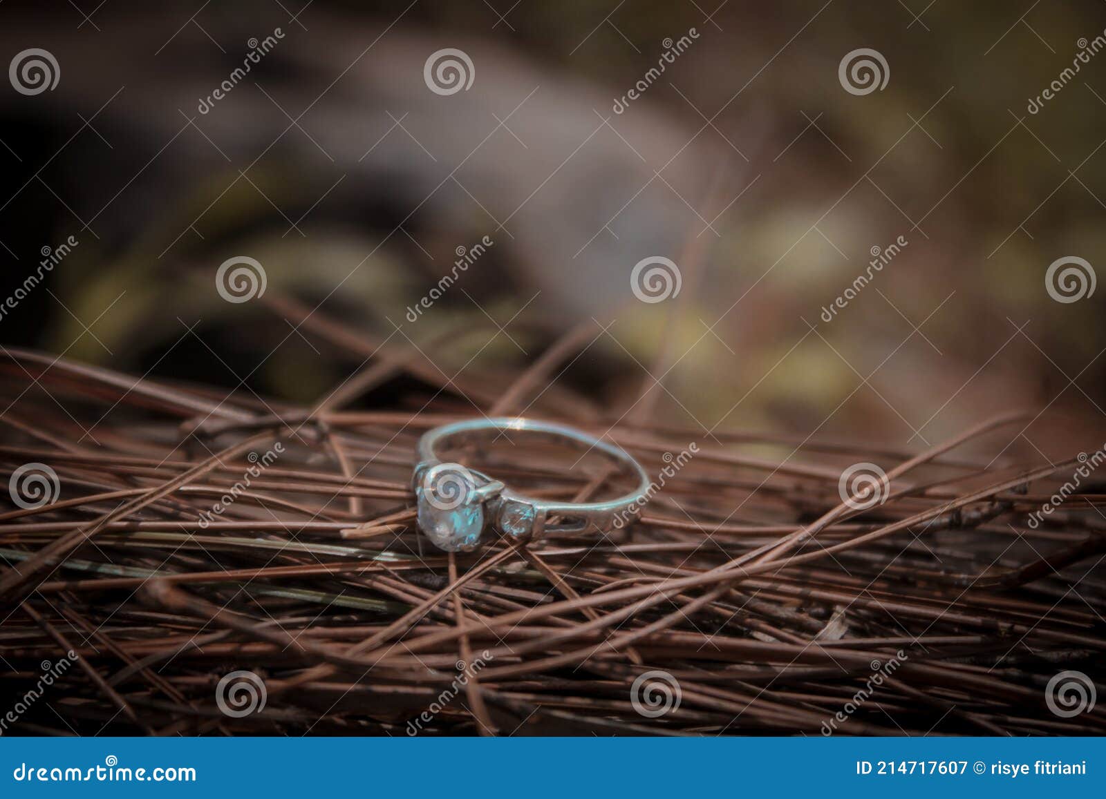 This is an Example of an Engagement Ring Stock Image - Image of nature ...