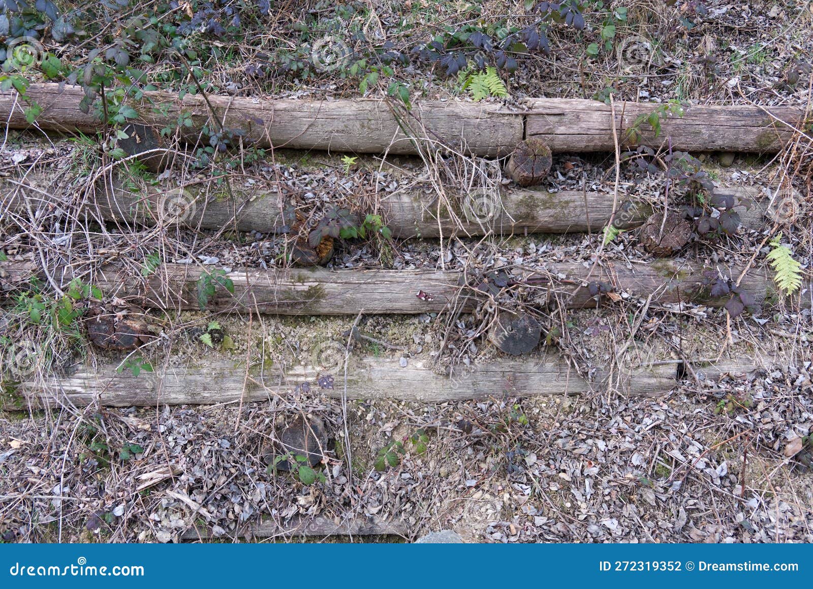 Example of Green Building: a Landslide Supported by Natural Trunks in ...