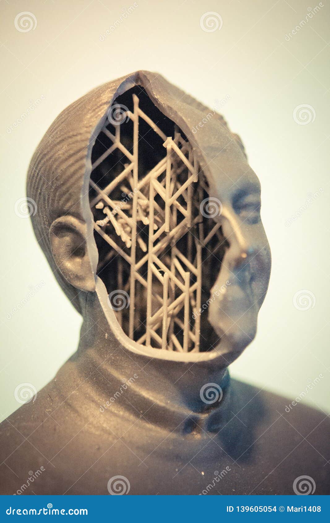 Example Of Printing A 3d Object In The Form Of A Human Head With ...