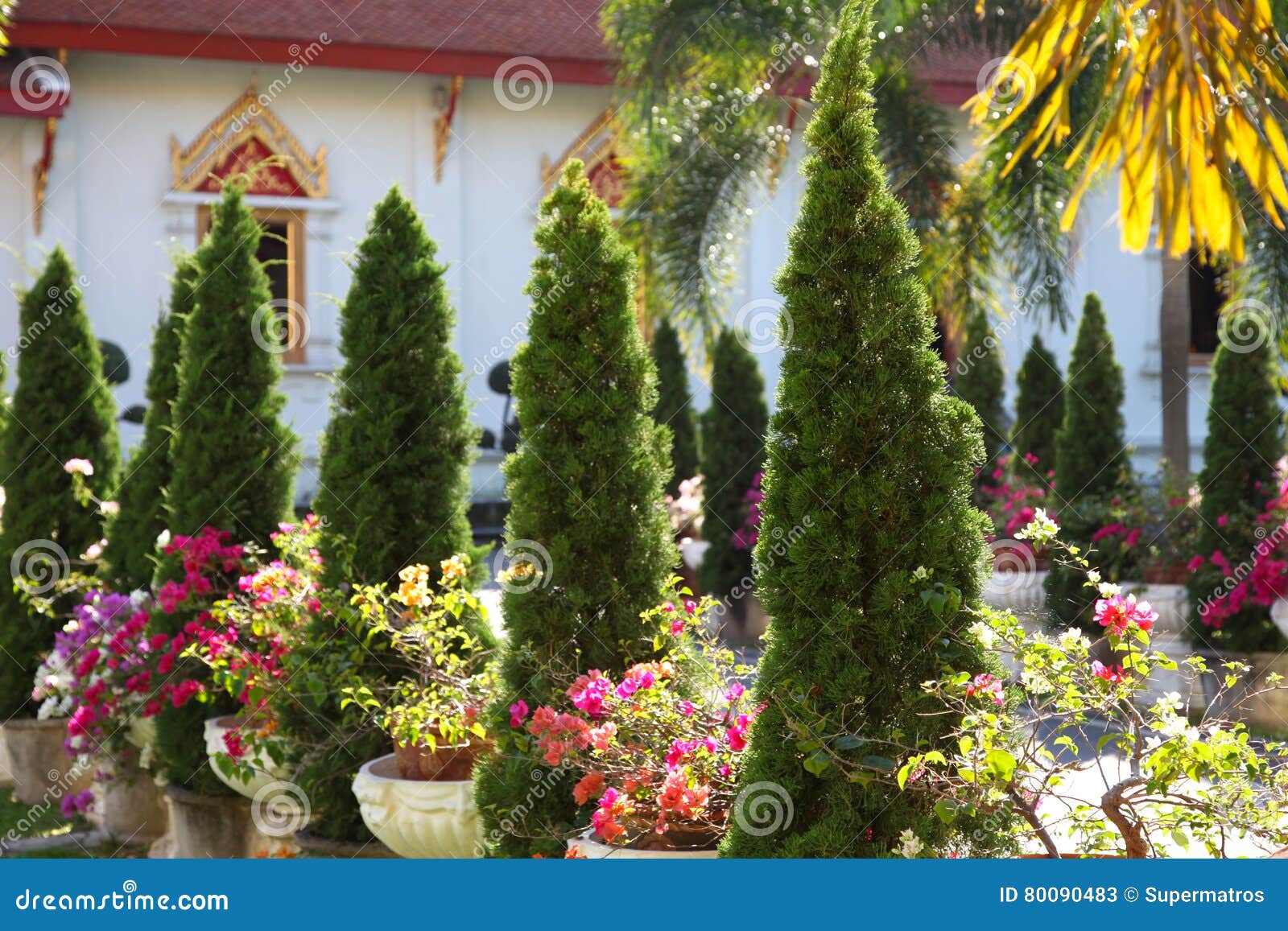 Examples of Landscape Design, Thailand Stock Image - Image of southeast ...