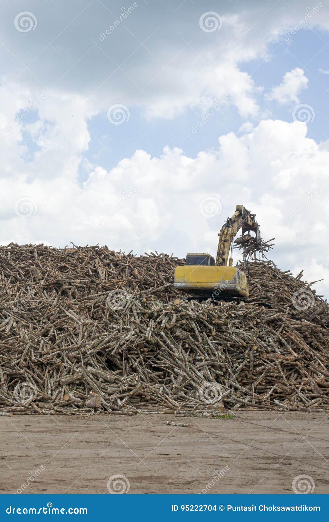 Excavator Backhoe at Work the Lumber Rubber Wood Stock Photo - Image of ...