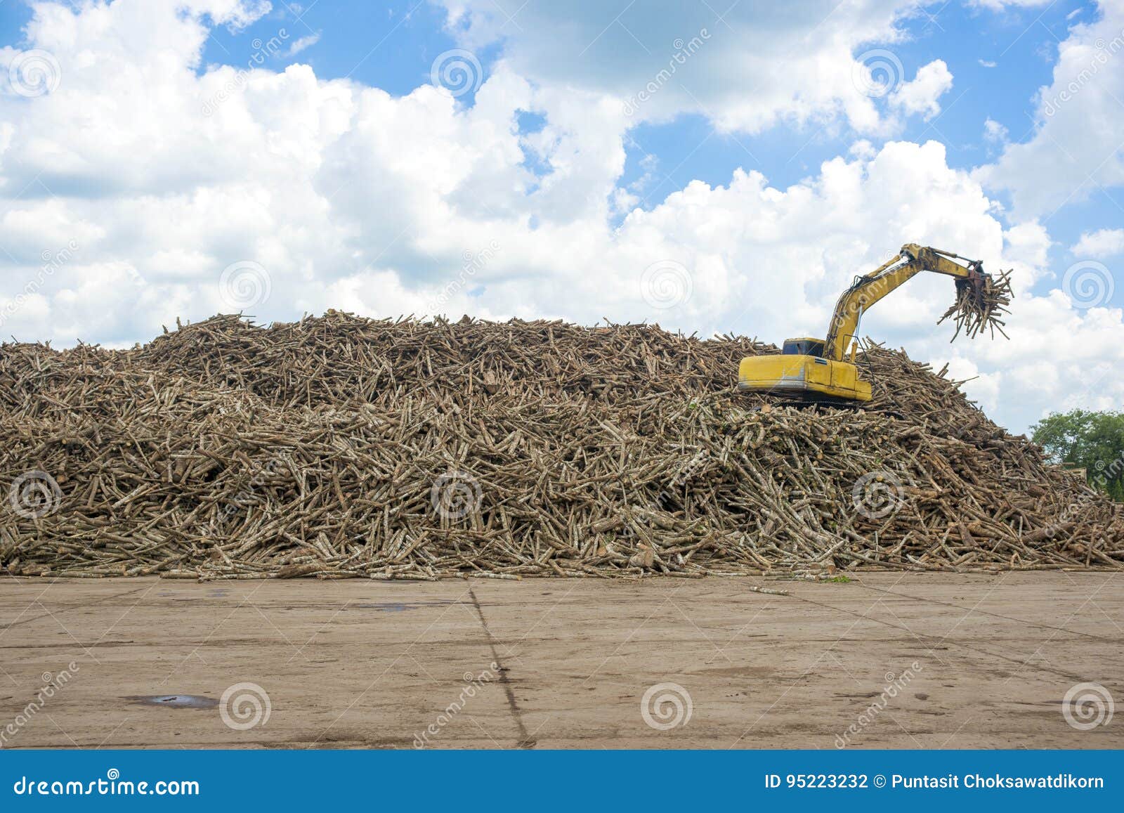 Excavator Backhoe at Work the Lumber Rubber Wood Stock Photo - Image of ...