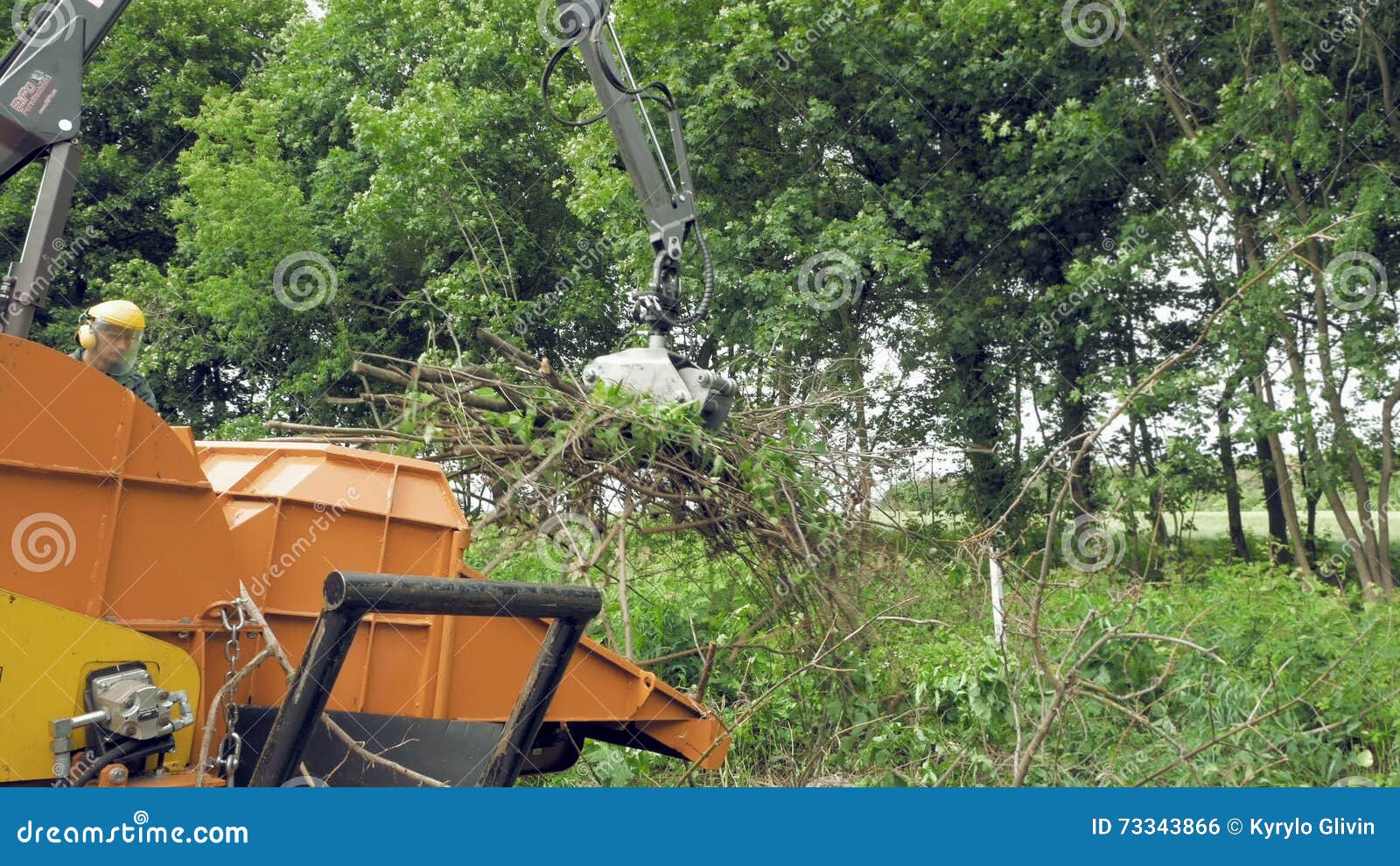 An Excavator Claw Picking Up the Cut Up Branches Stock Footage - Video ...