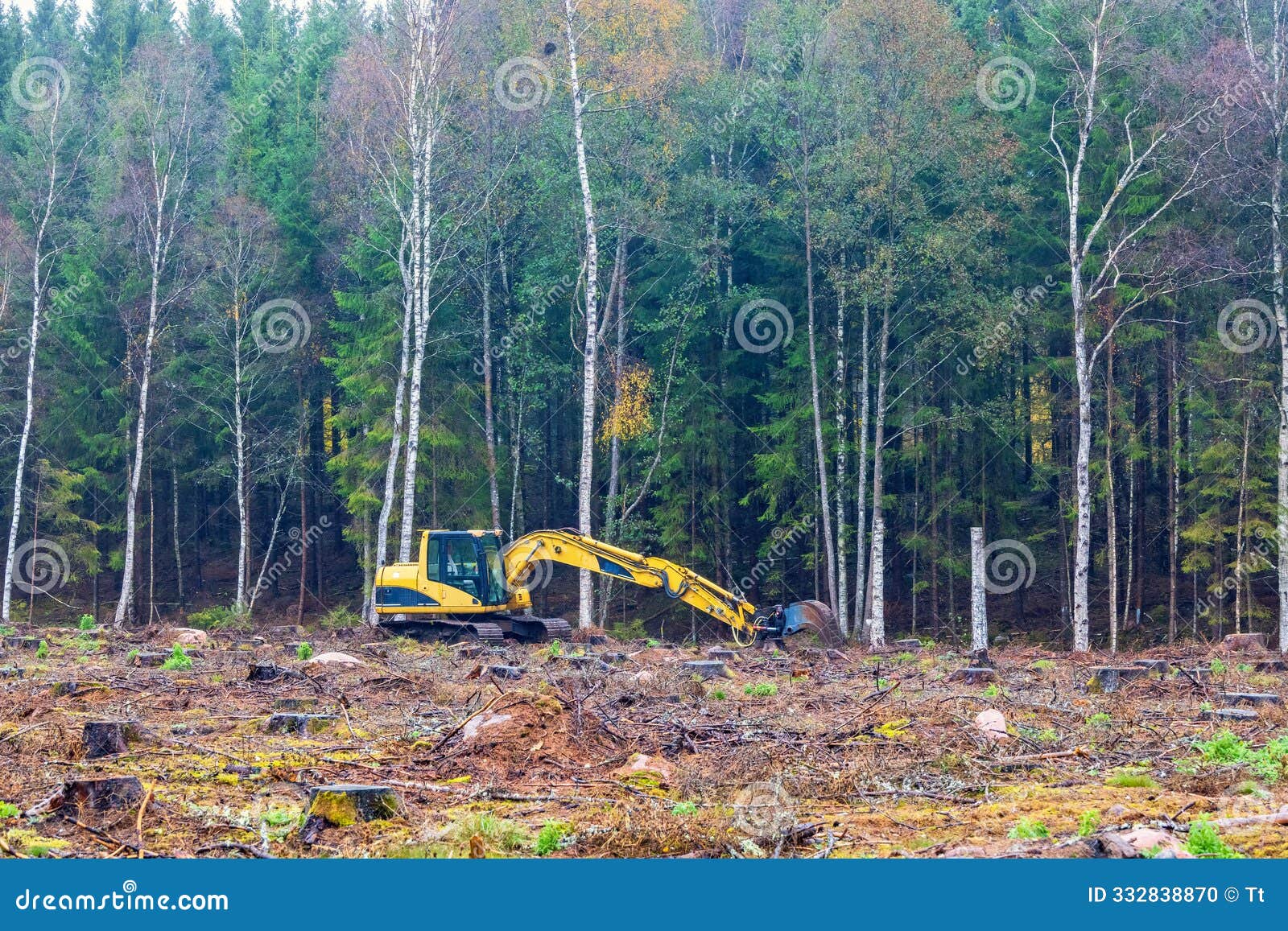 Excavator on a Clearcut Digging a Ditch by the Forest Edge Stock Photo ...