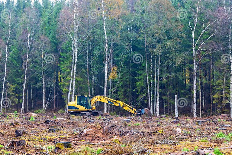 Excavator on a Clearcut Digging a Ditch by the Forest Edge Stock Photo ...