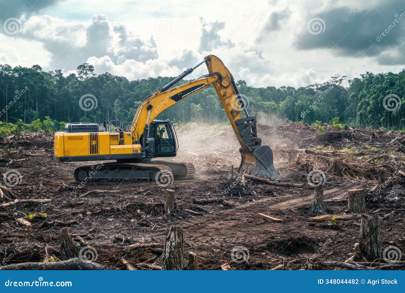 Deforestation Clearing In The Heart Of The Lush Tropical Jungle. Stock ...