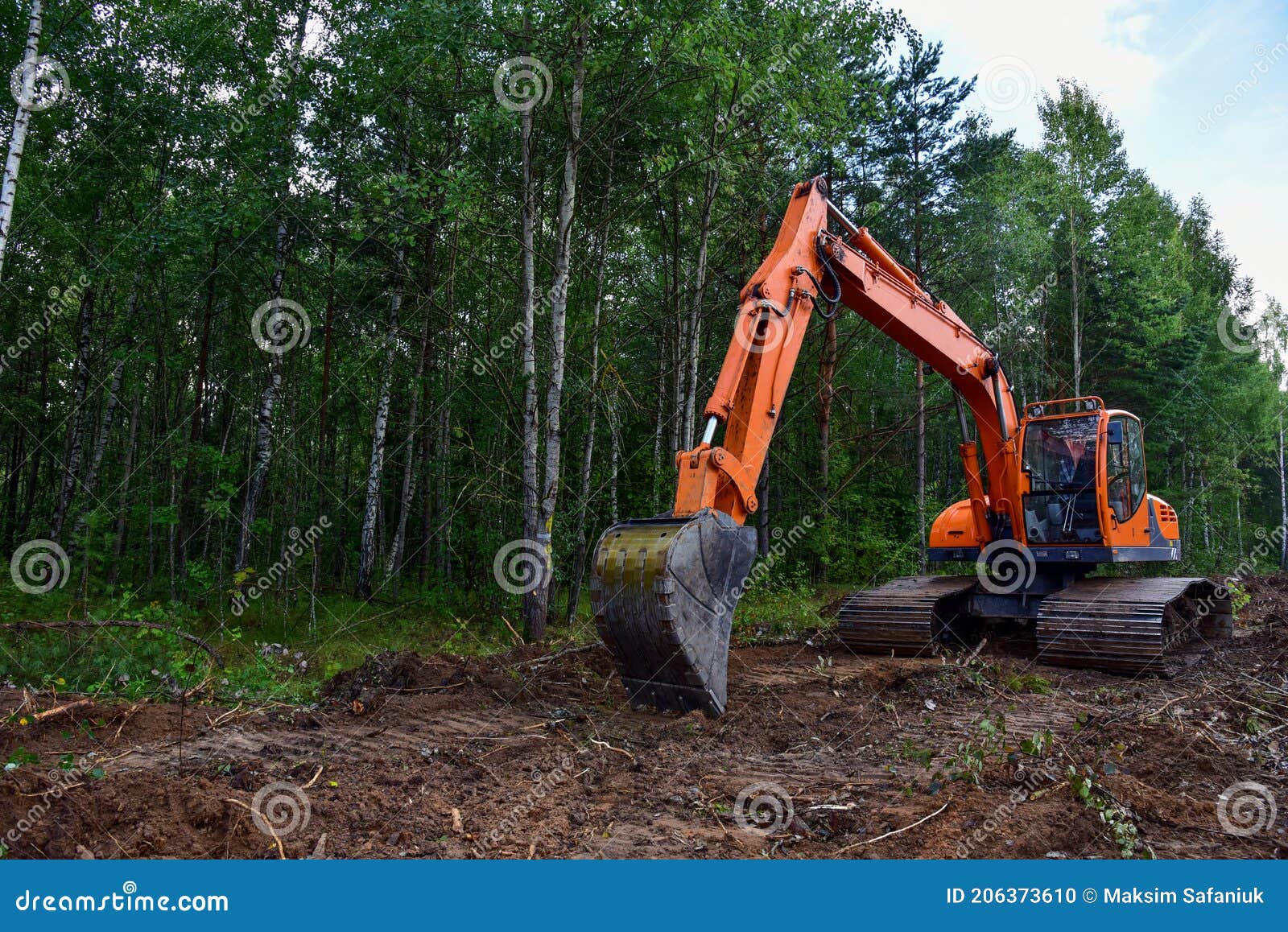 Excavator Clearing Forest for New Development. Orange Backhoe Modified ...