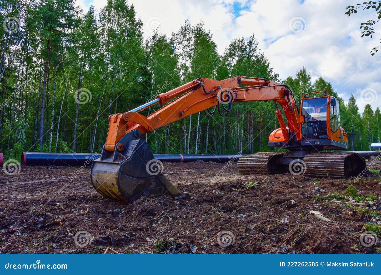 Excavator Clearing Forest for New Development. Orange Backhoe Modified ...
