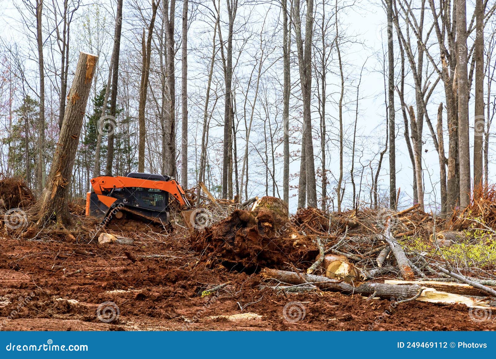 Excavator Clearing Forest for New Development with Roots of Cut Down ...