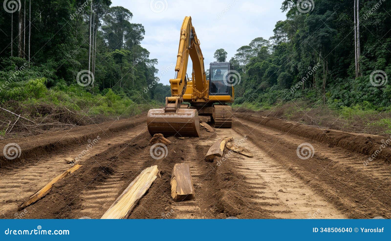 Excavator Clearing Land and Removing Tree Stumps in a Rainforest ...