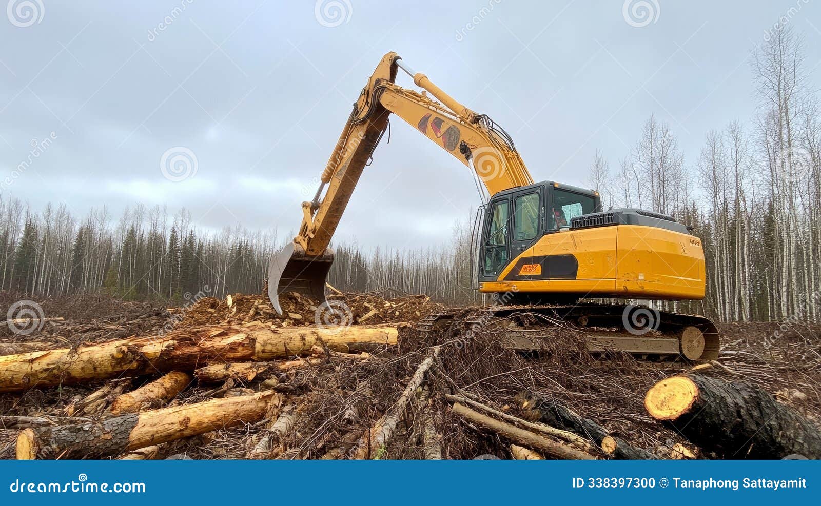 An Excavator Clears a Forest Leaving Behind a Pile of Logs the Machine ...