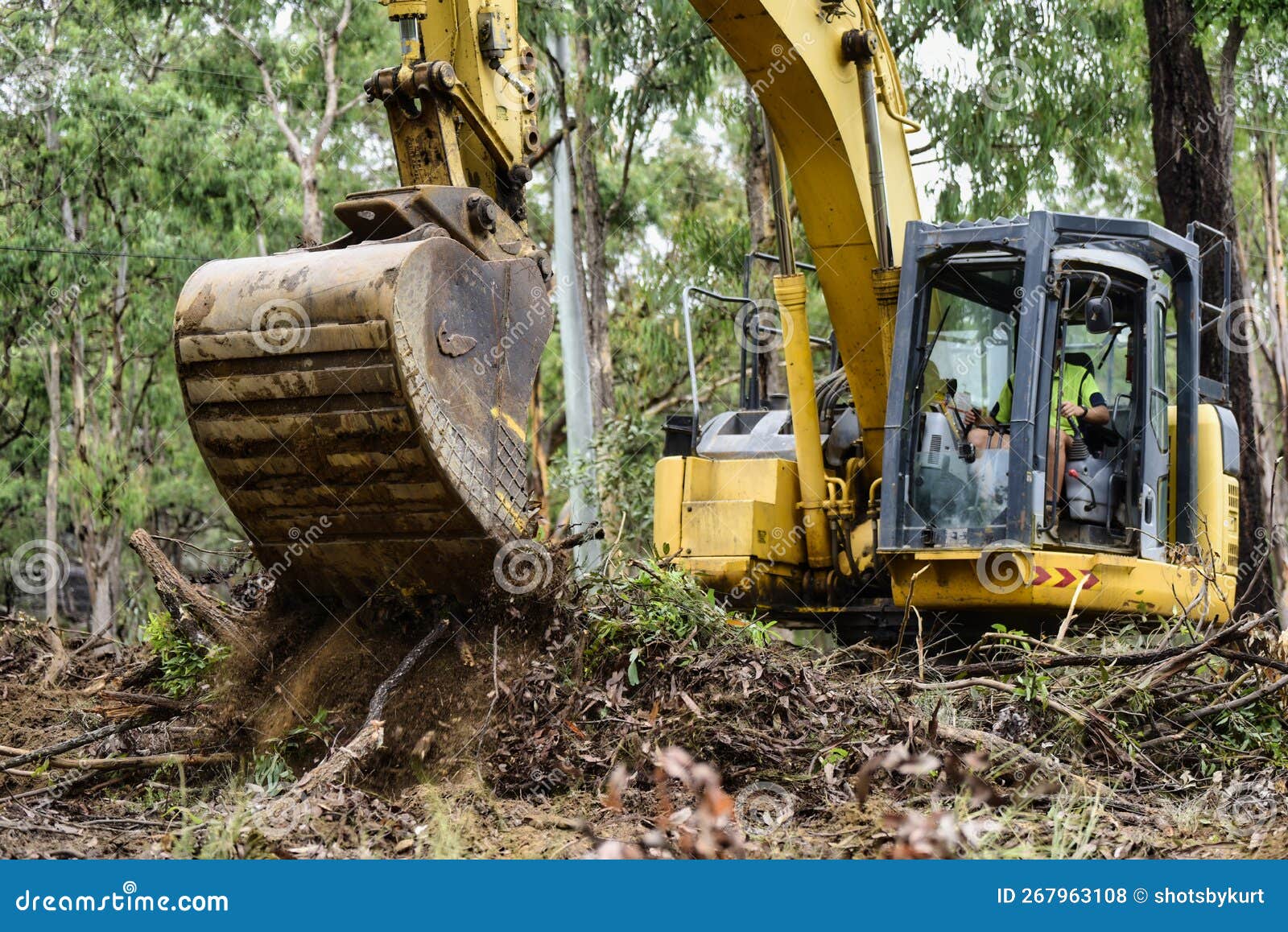 Excavator Land Clearing and Removing Trees Stock Photo - Image of dirt ...