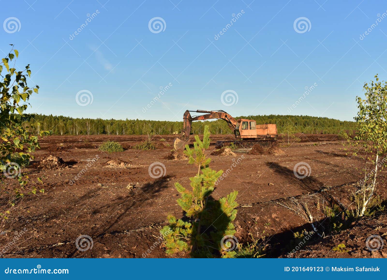 Destruction Of Trees On Peatlands And Drainage Of Peat Bogs At ...