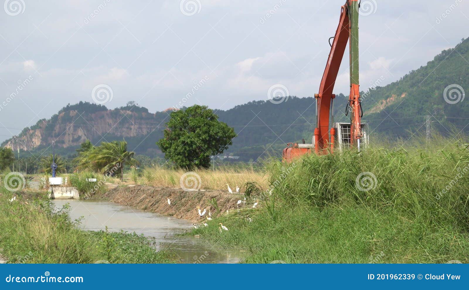 Excavator is Digging at River. River Widening Project Stock Video ...