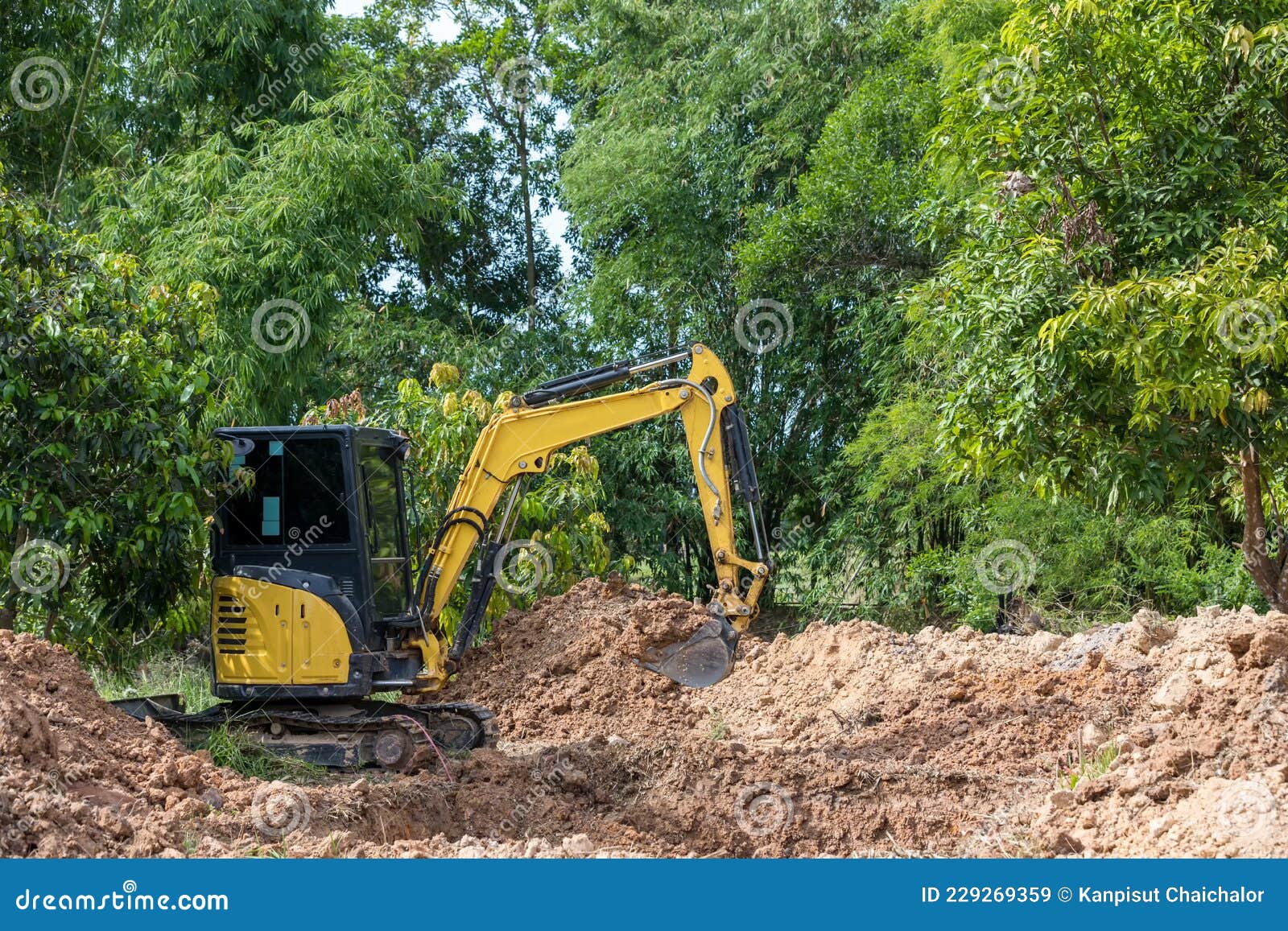 The Excavator Digs a Soil. Digger Loading Trucks with Soil. Excavator ...