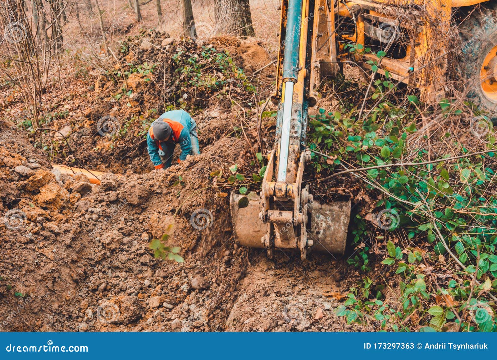 An Excavator in the Forest Digs a Ladle for Fish Breeding Stock Image ...