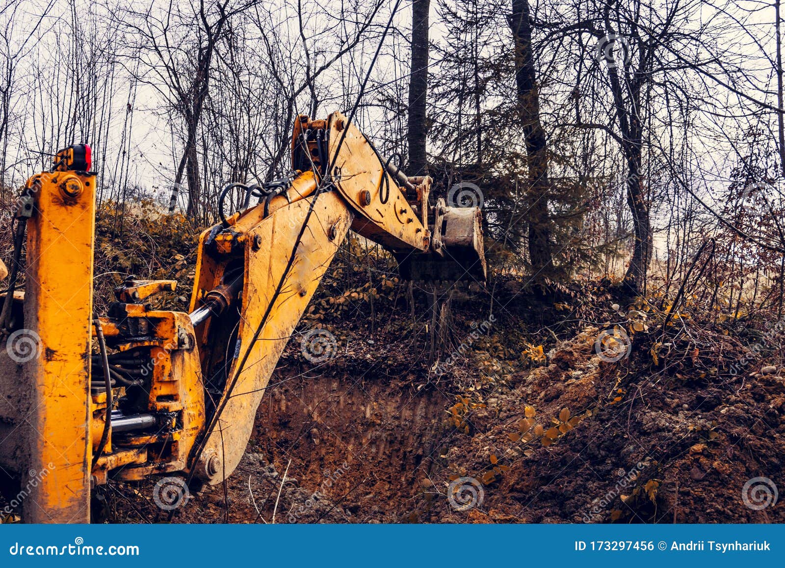 An Excavator in the Forest Digs a Ladle for Fish Breeding Stock Photo ...