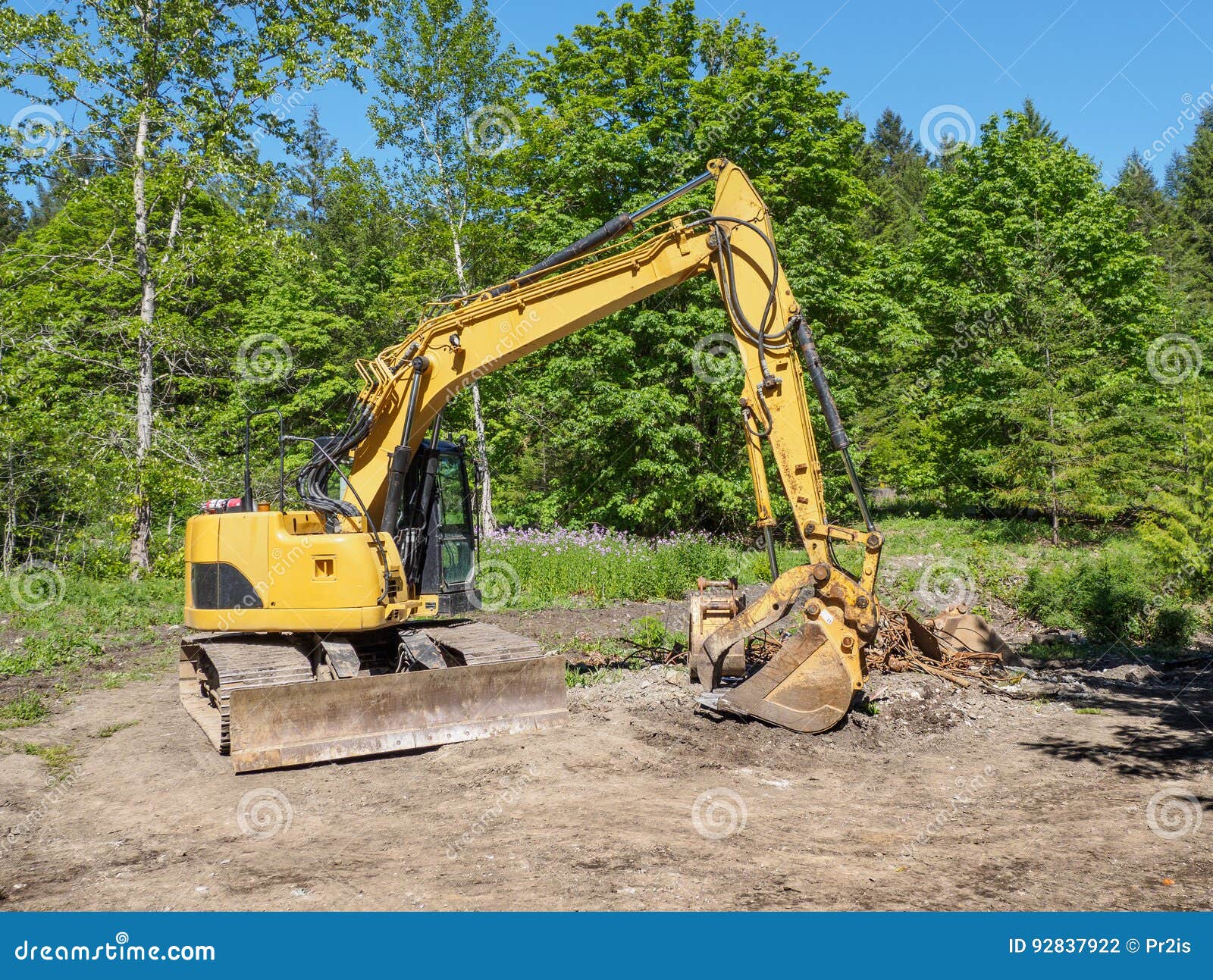 Excavator in the Forest Preparing Construction of the Hiking Tr Stock ...