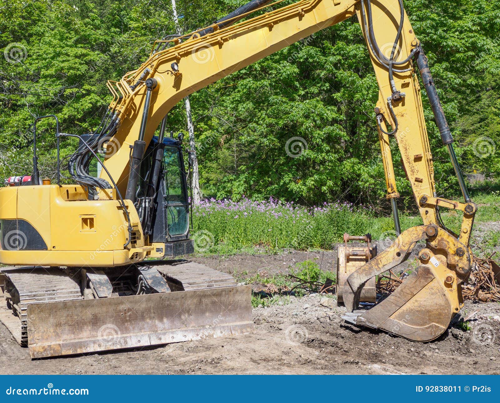 Excavator in the Forest Preparing Construction of the Hiking Tr Stock ...