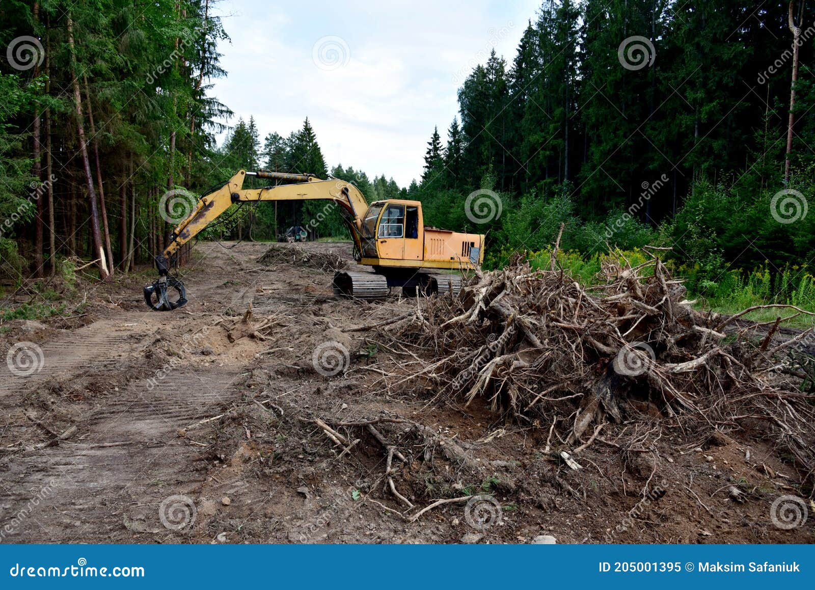 Excavator Grapple During Clearing Forest For New Development. Tracked ...
