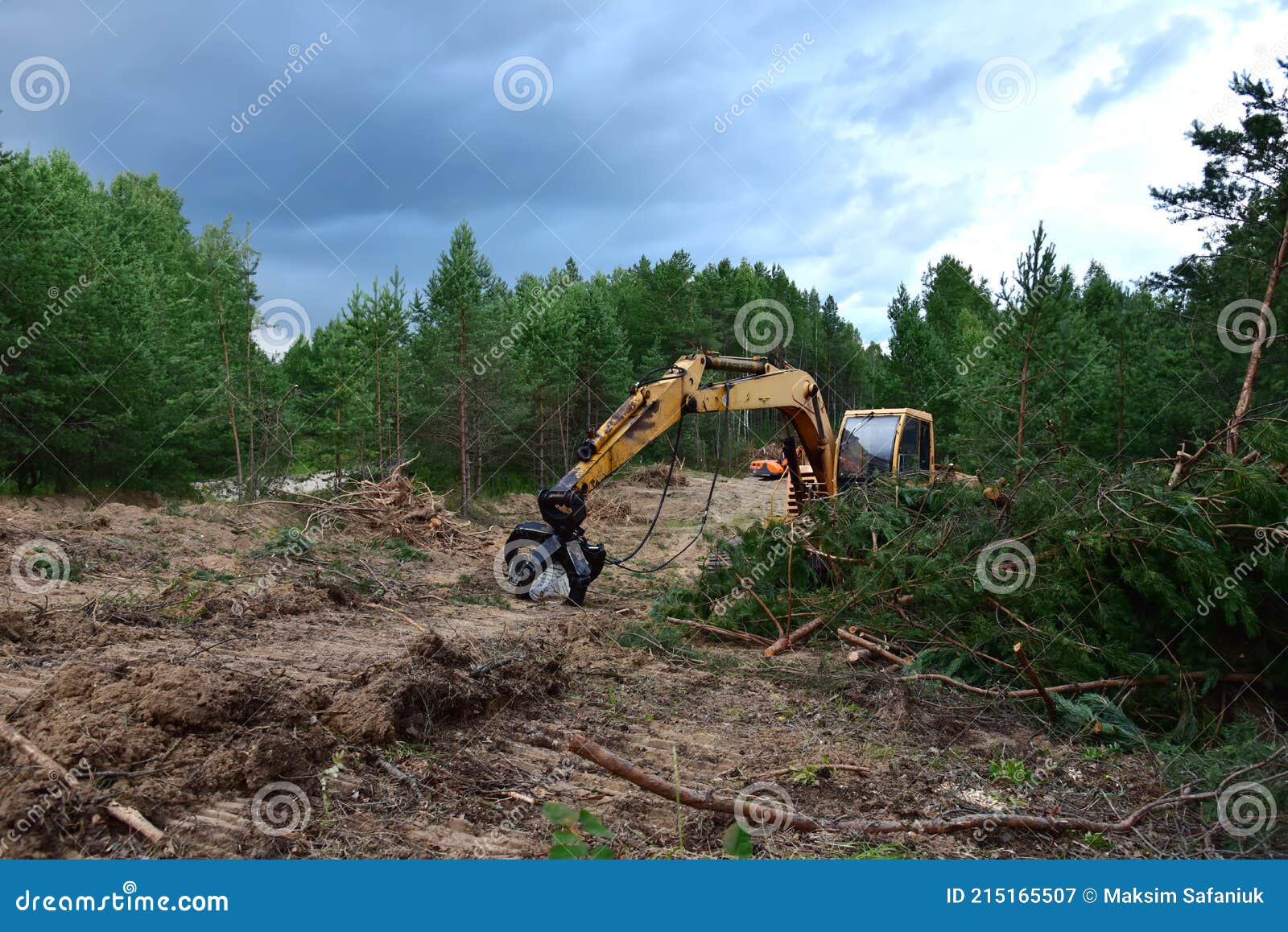 Excavator Grapple During Clearing Forest For New Development. Tracked ...