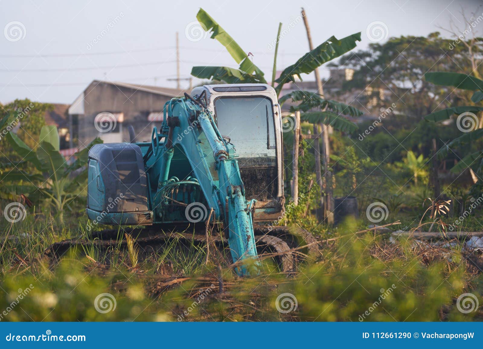 Excavator Tractor Working on Mud Soil with Tree Stock Photo - Image of ...