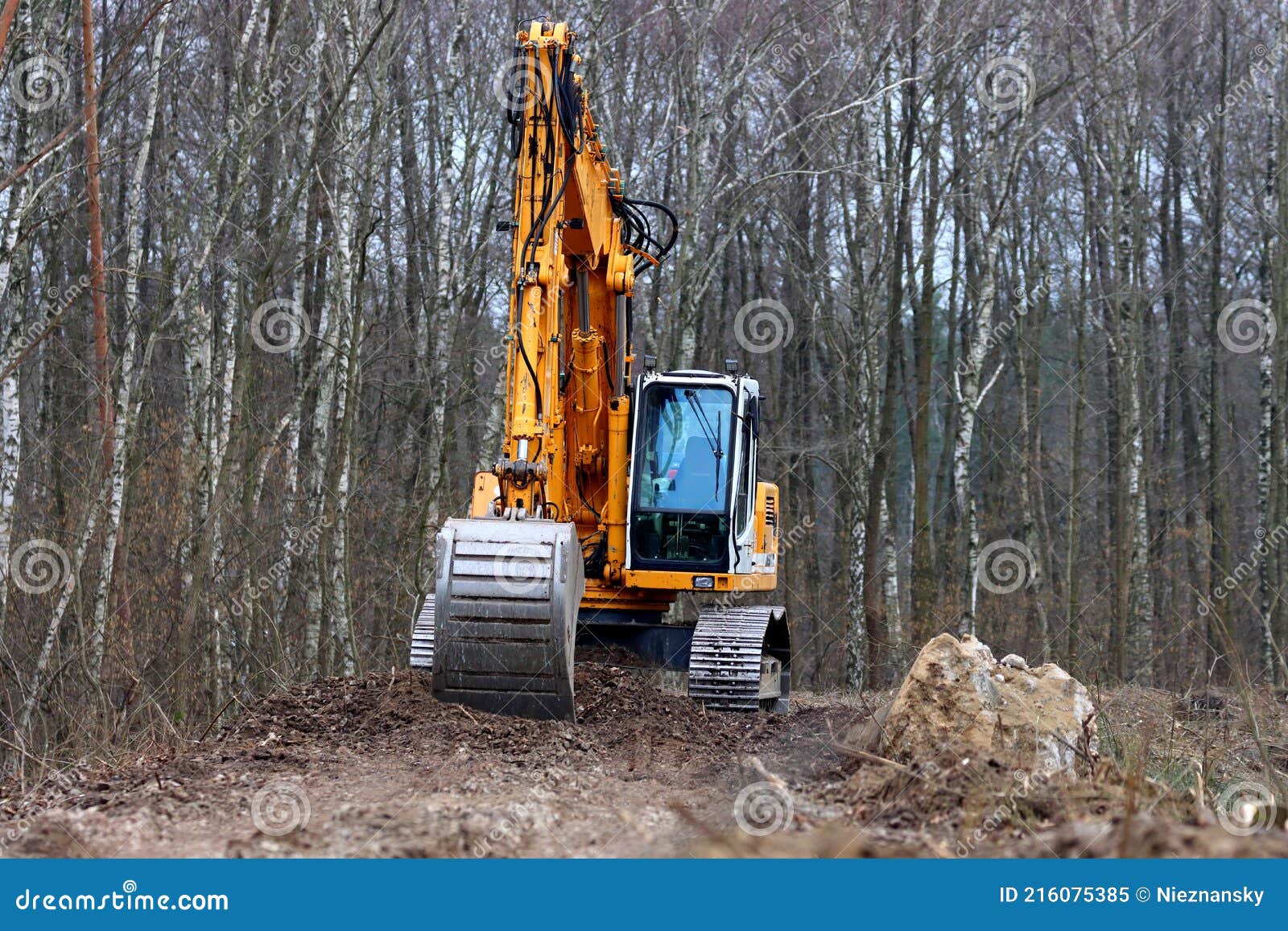 Excavator in the woods stock image. Image of machine - 216075385