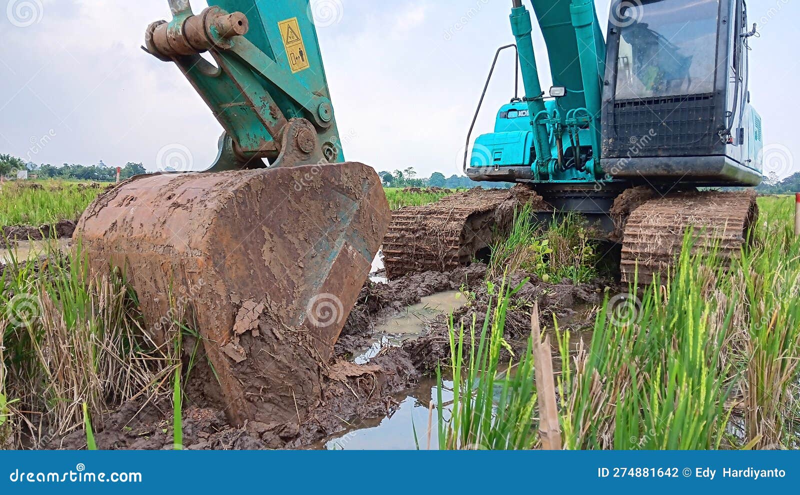 Excavator Working on a Rice Field Stock Photo - Image of transport ...