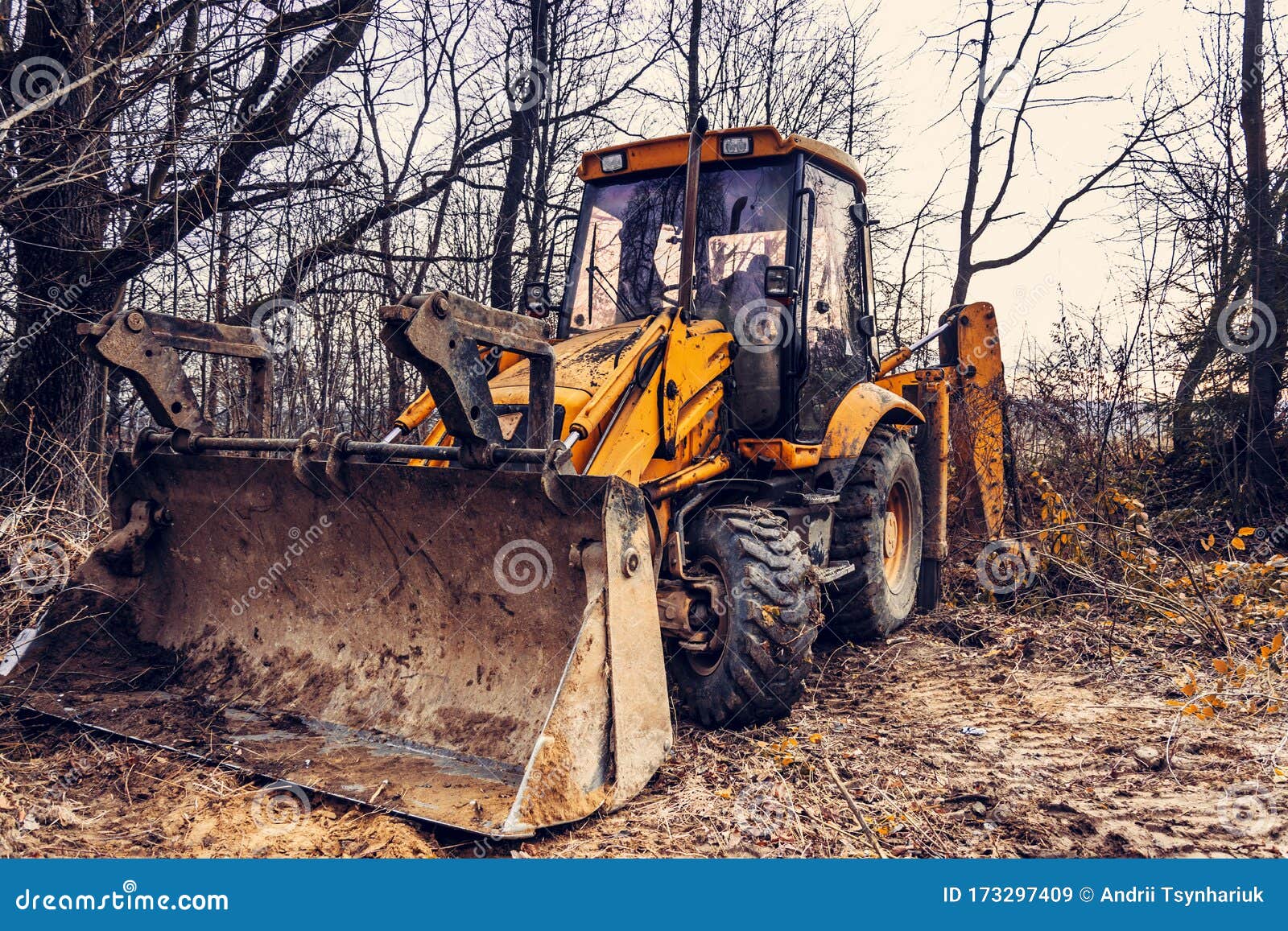 The Excavator Works in the Forest in Clearing the Forest Stock Image ...