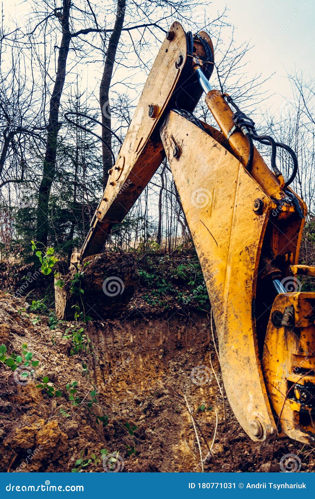 The Excavator Works in the Forest in Clearing the Forest Stock Image ...