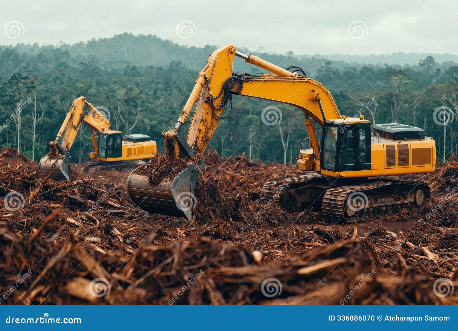 Excavators Working on Deforested Site in Rainforest Stock Photo - Image ...