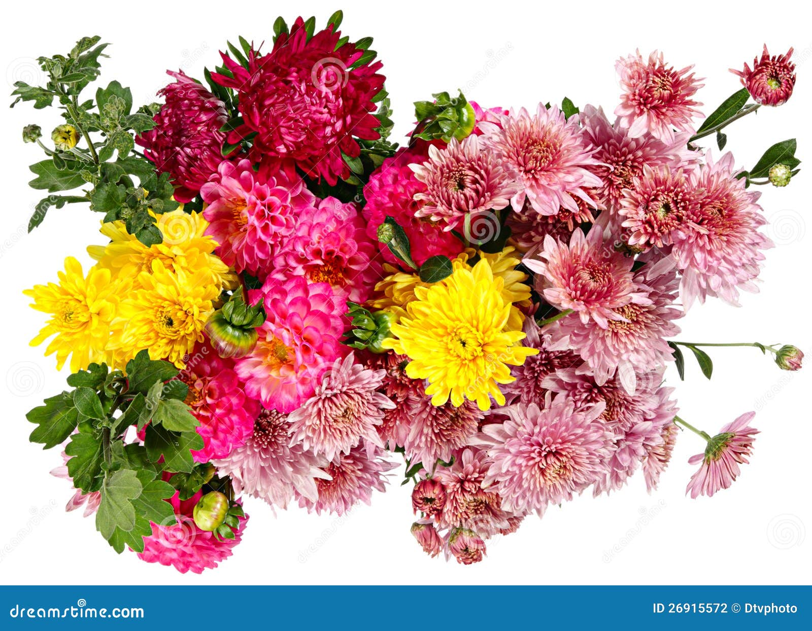 Excellent autumn bouquet stock photo. Image of flora - 26915572