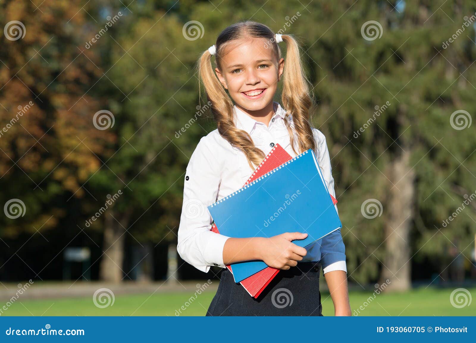 Excellent Student In The Classroom Calculus. Stock Photography ...