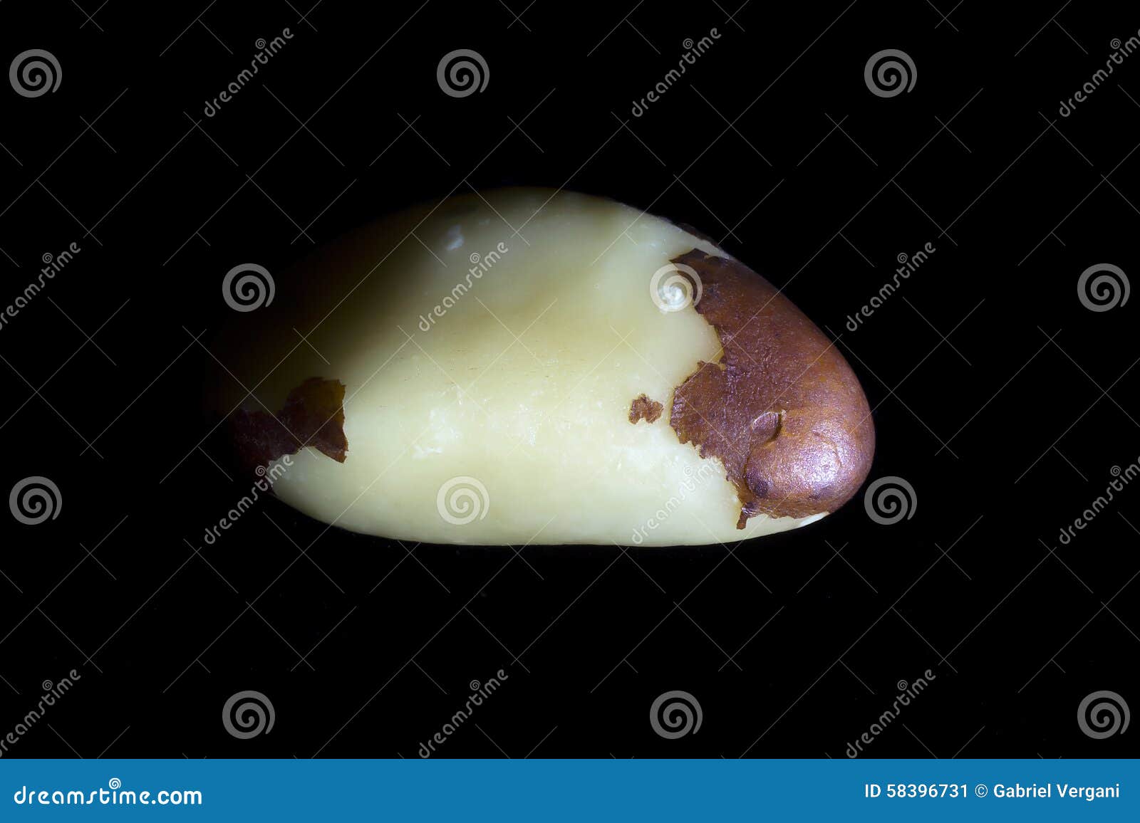 Excelsa bertholletia stock image. Image of para, brown - 58396731