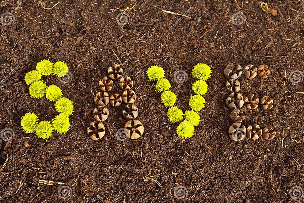 Excepto el planeta foto de archivo. Imagen de excepto - 12840196