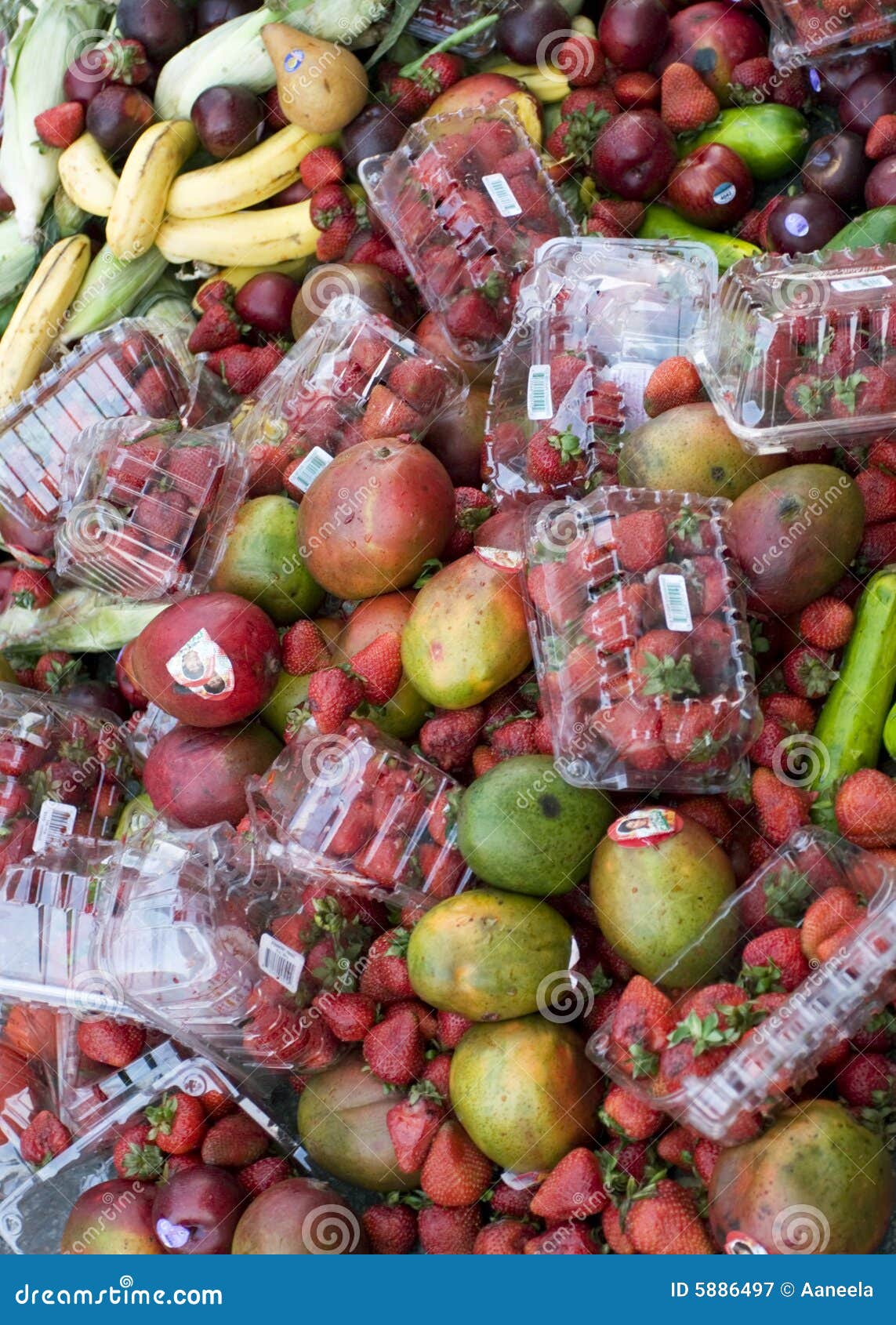 Excess produce stock image. Image of fruits, problem, wasted - 5886497