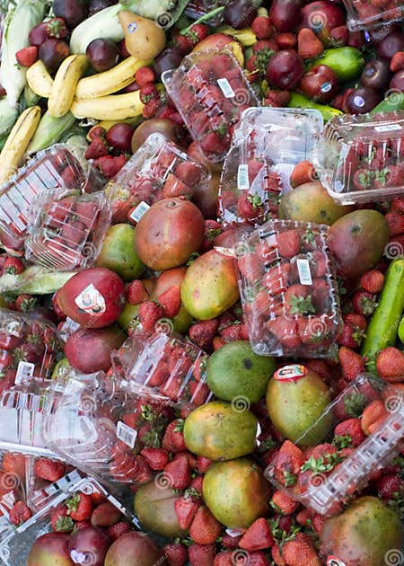 Excess produce stock image. Image of fruits, problem, wasted - 5886497