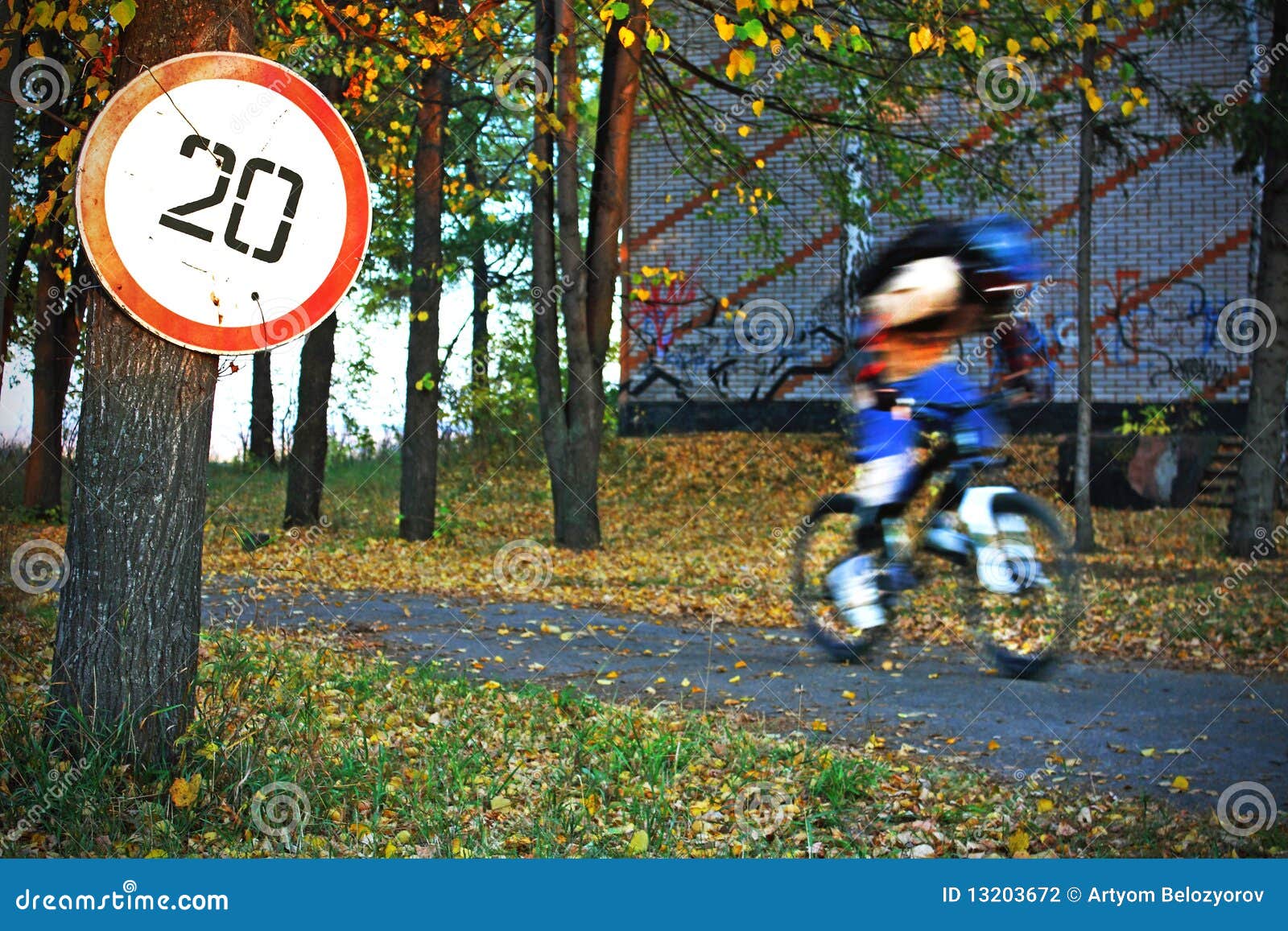 Excess of speed stock photo. Image of spokes, chain, excess - 13203672