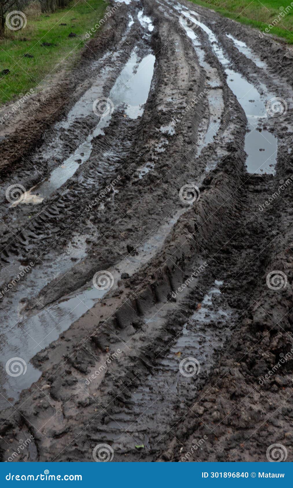 Excessive rain, muddy path stock photo. Image of landscape - 301896840